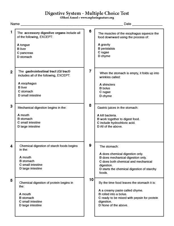 Digestive System - Multiple Choice Digestive System - Multiple Choice