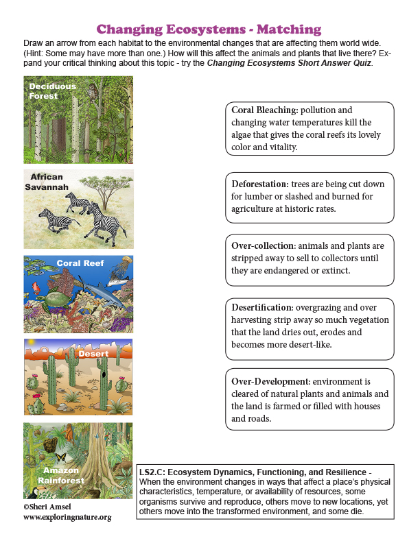 Changing Ecosystems - Matching Changing Ecosystems - Matching